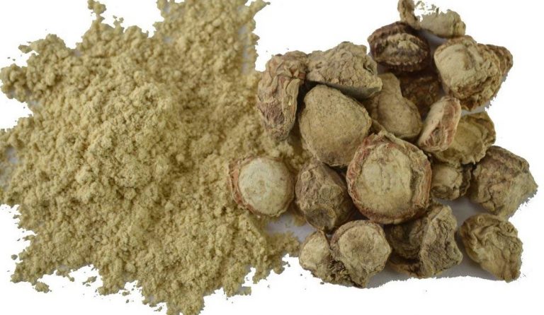 Kapur Kachri Powder – Le Sattva